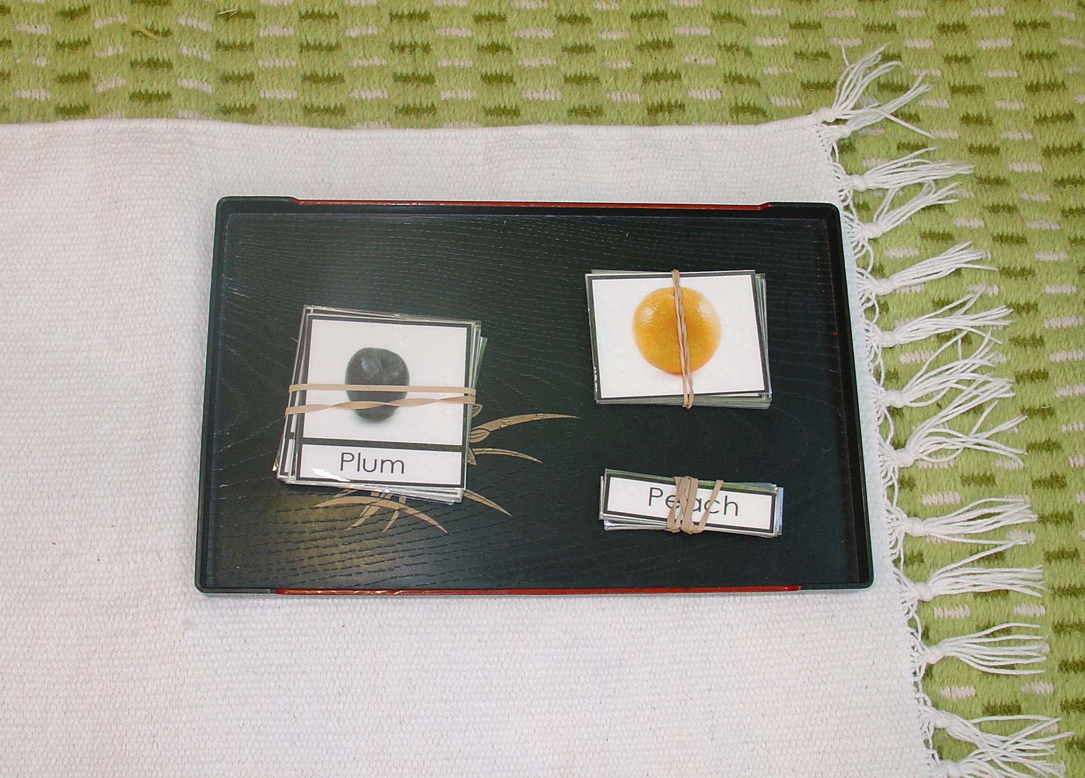 File:3 Part Cards 1.JPG - Montessori Album