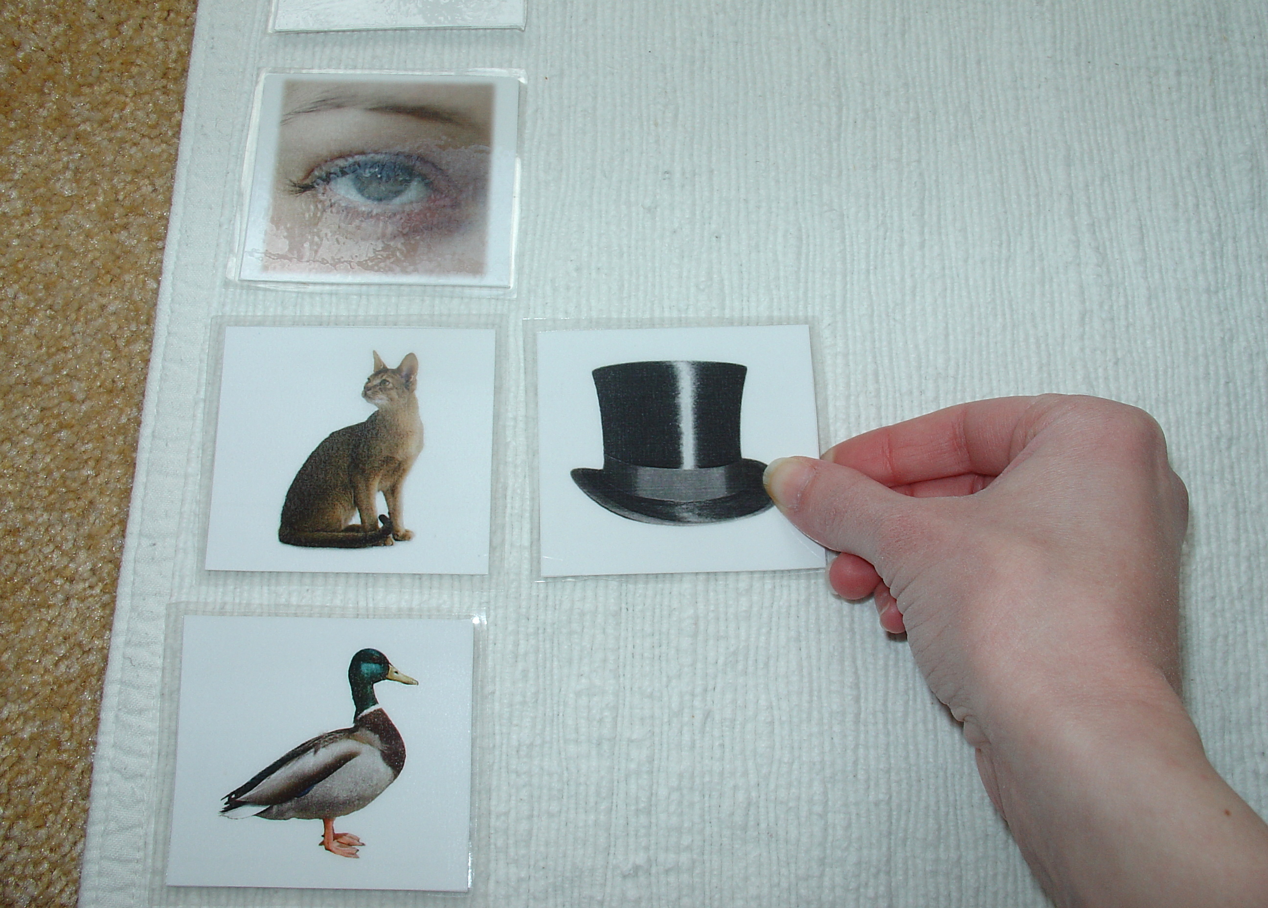 File:Rhyme Match 4.JPG - Montessori Album