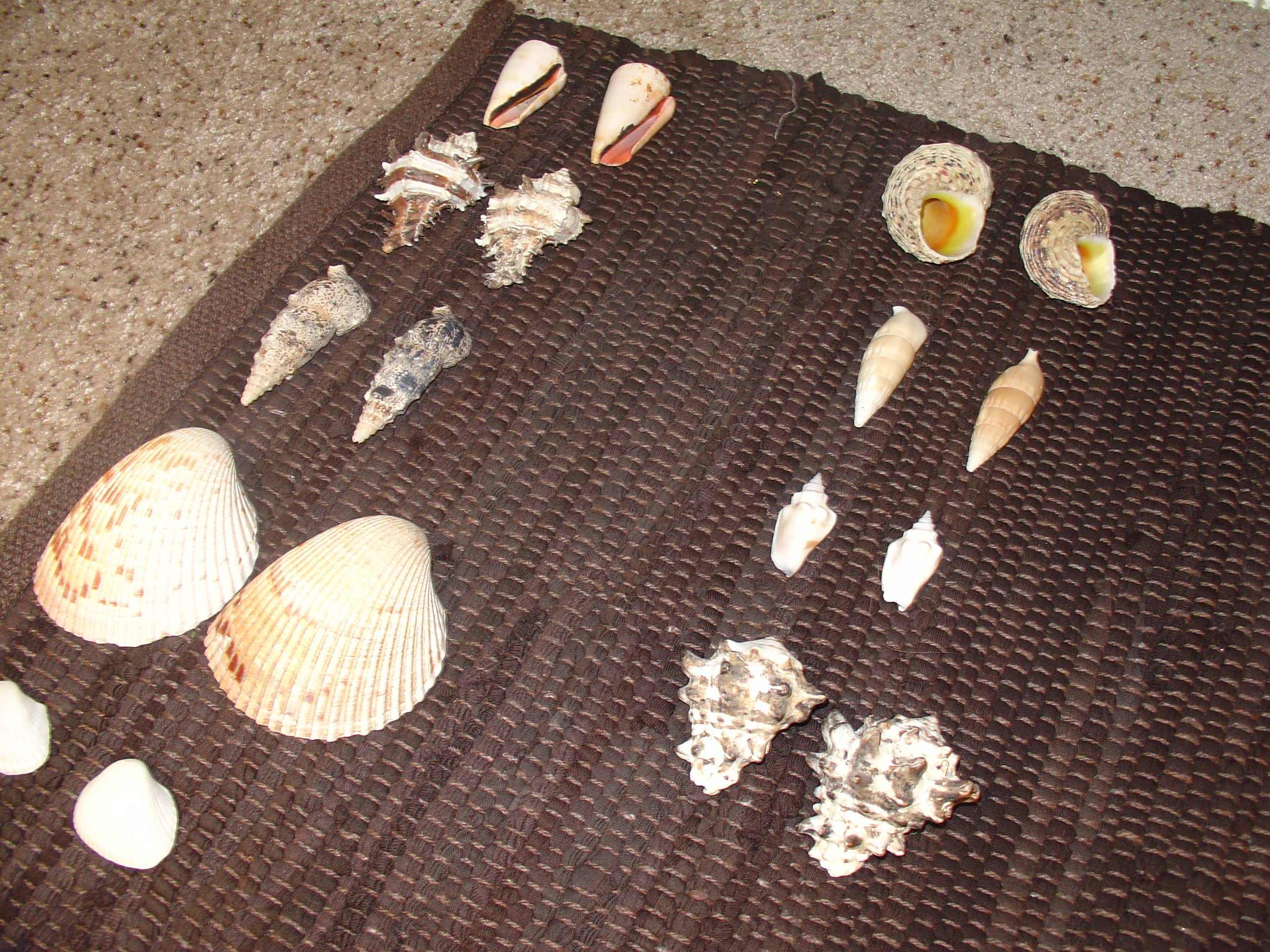 File:Object to Object Matching.JPG - Montessori Album