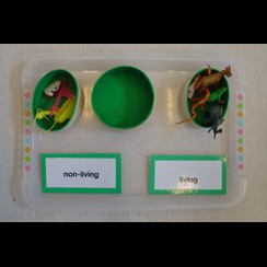 File:Living nonliving 2.JPG - Montessori Album