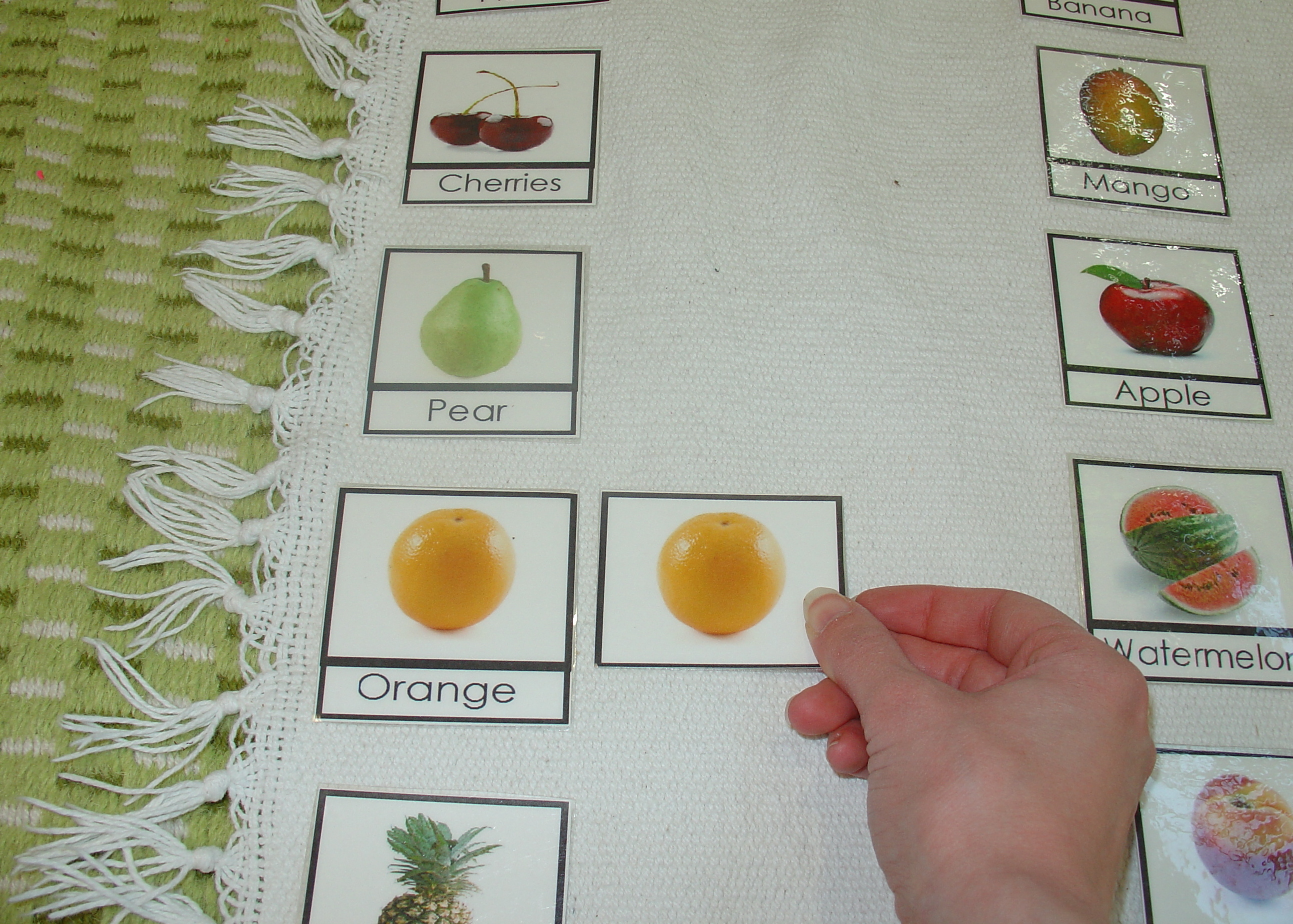 File:3 Part Cards 3.JPG - Montessori Album