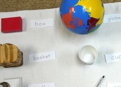 Language - Montessori Album