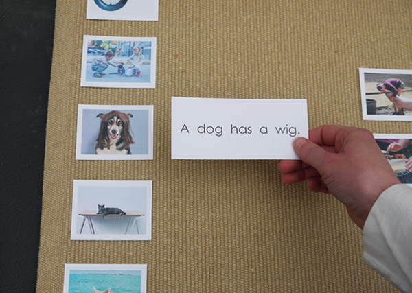 Sentence Picture Match