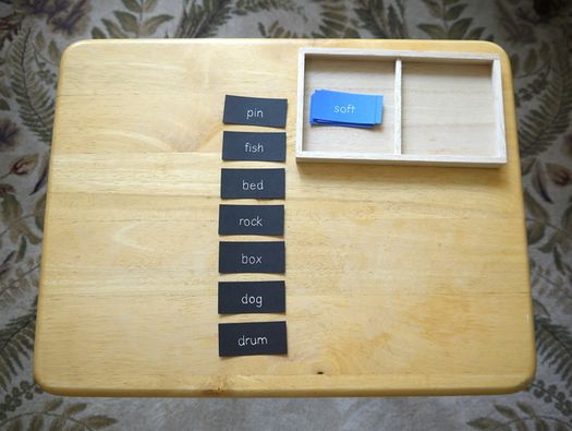 Logical Adjective Game